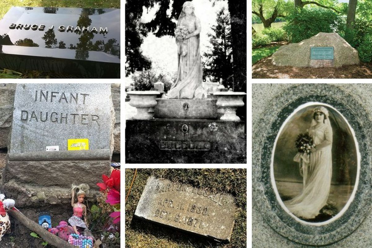 Il misterioso caso di Julia Petta